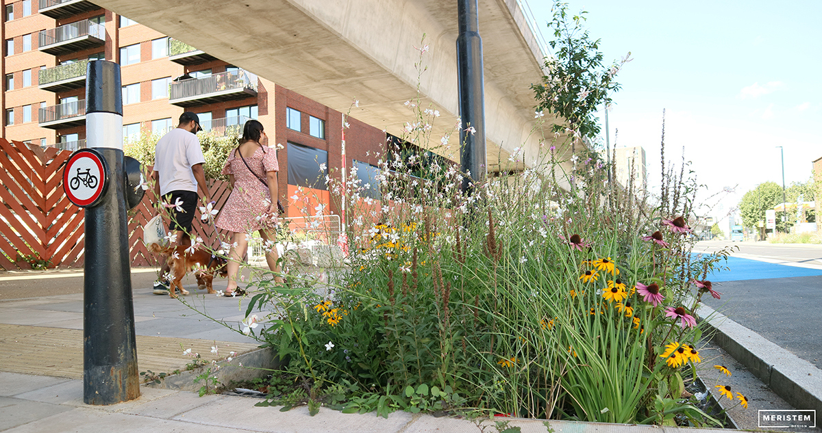 Royal Docks Rain Garden | Royal Docks