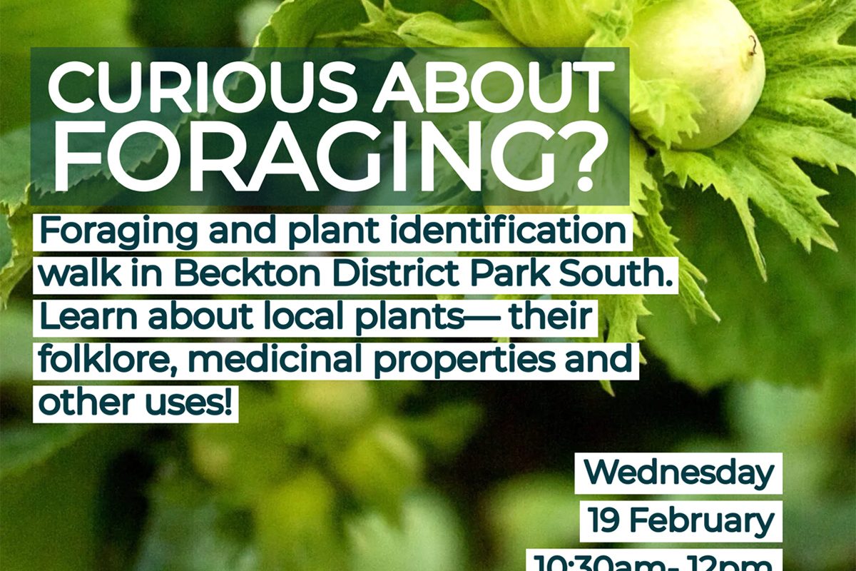 Curious About Foraging? | Royal Docks