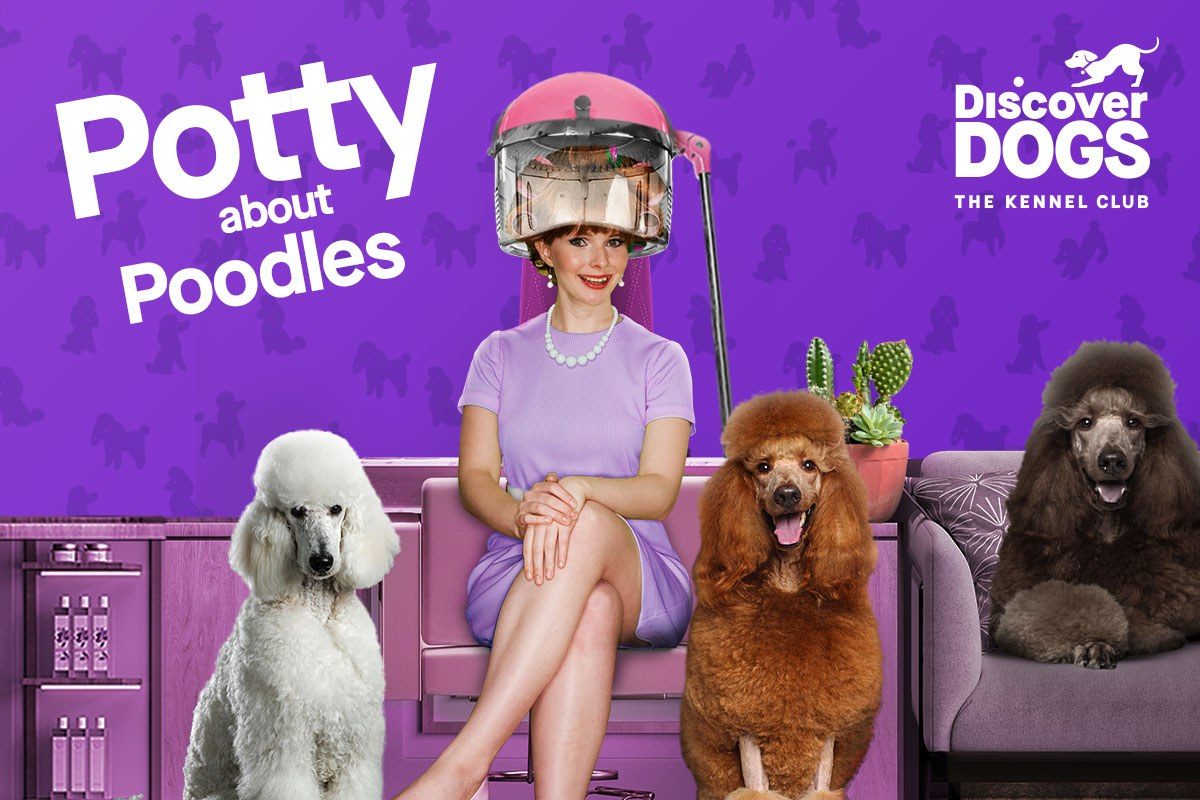 Discover Dogs 2022 | Royal Docks