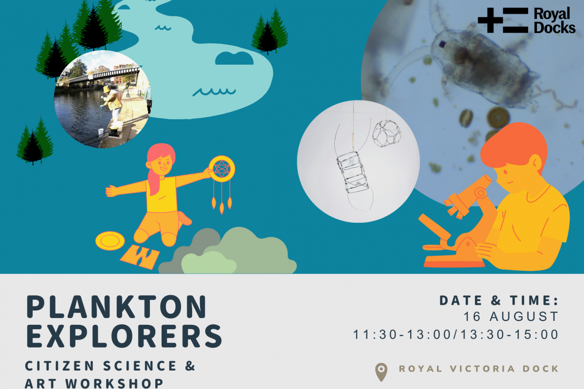Plankton Explorer: citizen science & land art-making | Royal Docks